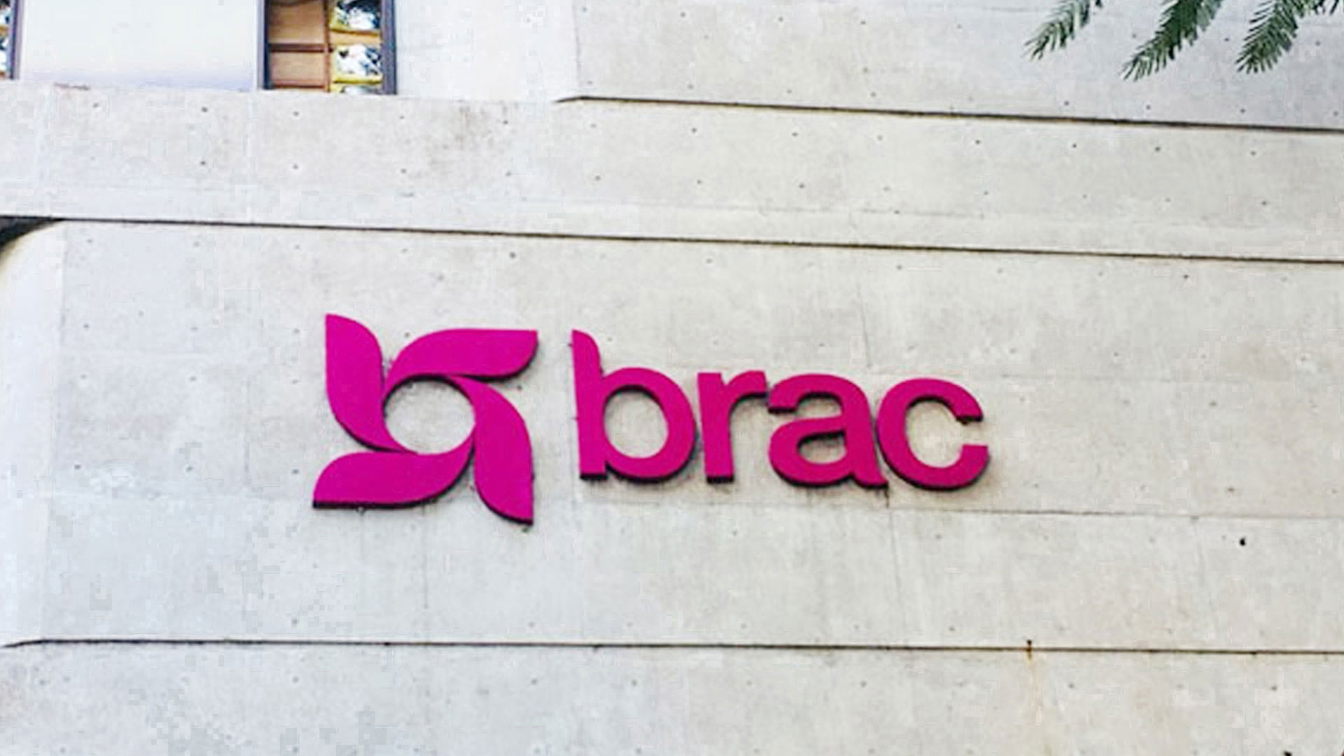 New job at BRAC NGO 2025